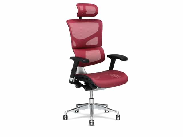 Radius Task Chair - Indoor Furniture